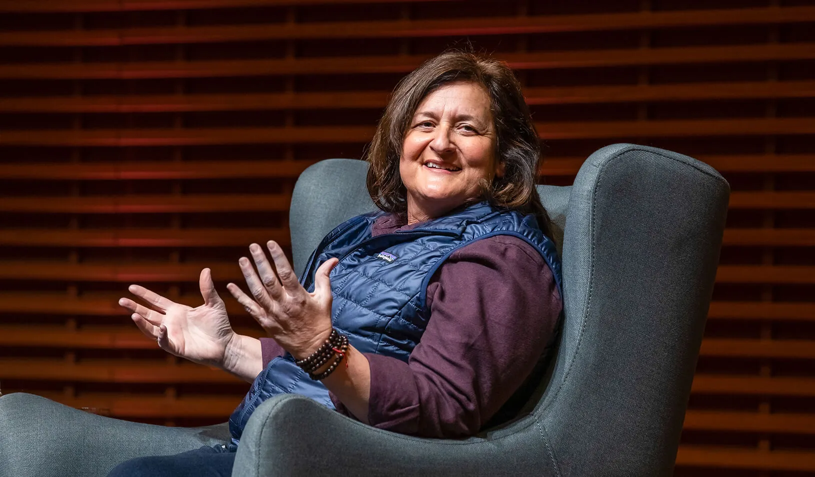 Patagonia CEO: A Force for Environmental Change | Stanford Graduate ...
